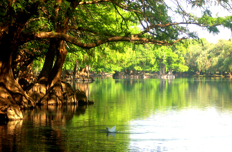 Descubre el Impresionante lago de Camecuaro en Michoacán